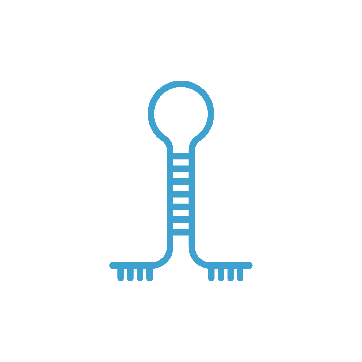 Long Non coding RNA Sequencing Fast Accurate BGI Americas